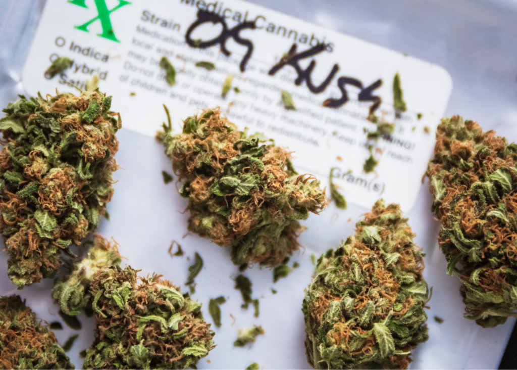 Product Spotlight | OG Kush: The Legendary Cannabis Strain Loved by ...